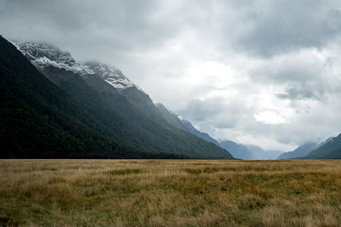 The Archival Division - Range Conservation – Black Lantern