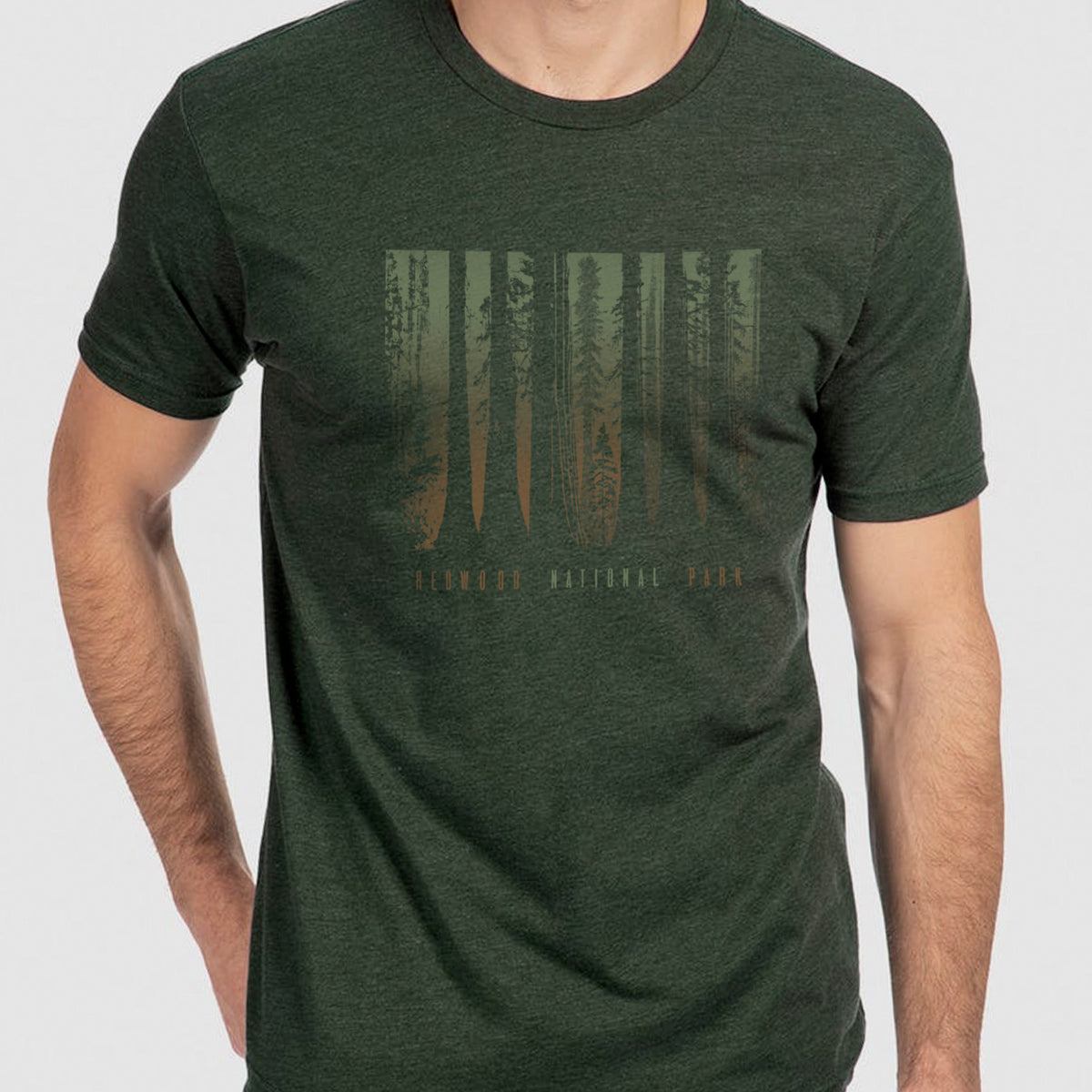 Men's Redwood National Park T-Shirt | Black Lantern
